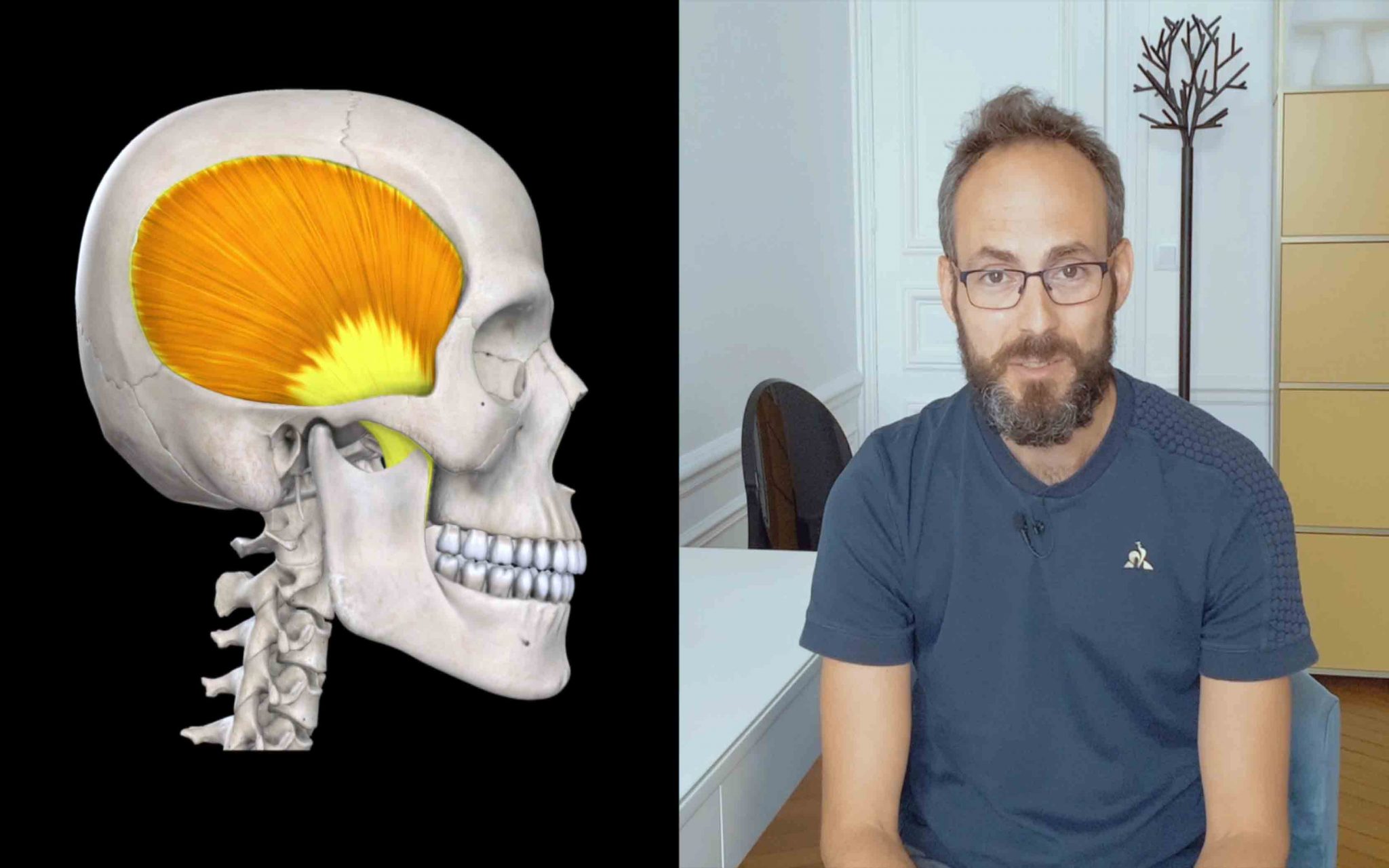 Comment masser la mâchoire ? 1ère partie - Dos et Posture