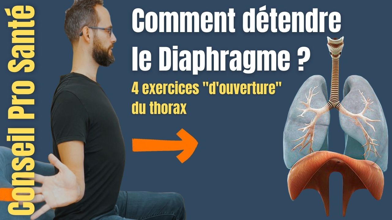 Assouplir Détendre le Muscle Diaphragme avec 4 exercices