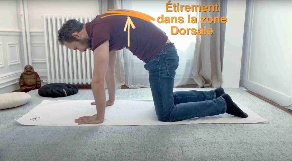 Etirement du bas du dos - un exercice de kiné à faire chez soi - Dos et ...
