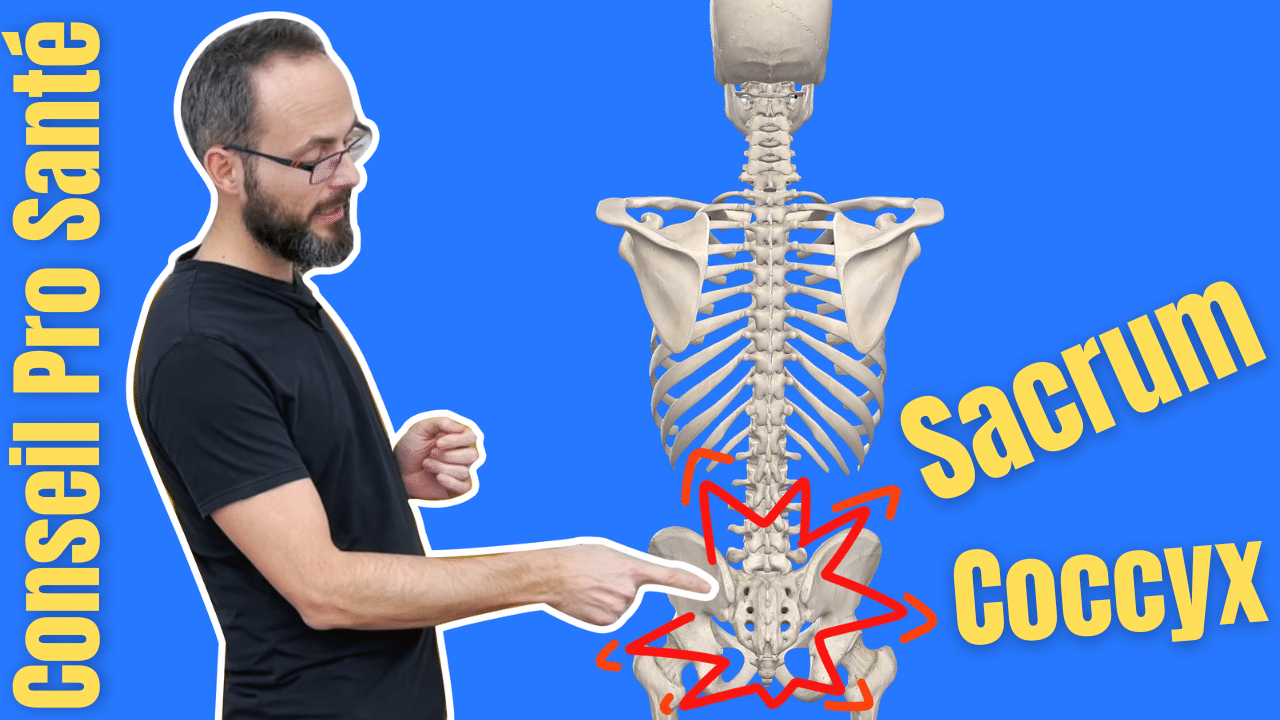 Douleur de Sacrum et de Coccyx : 5 exercices de kiné à faire à la maison