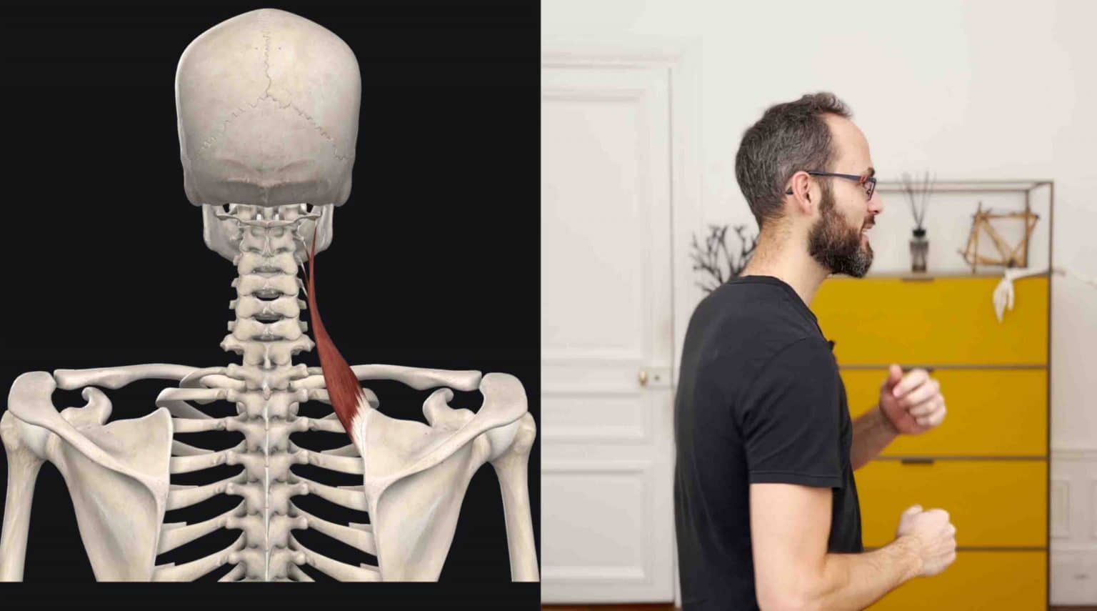 Comment étirer le cou ? 7 étirements de kiné à pratiquer à la maison ...