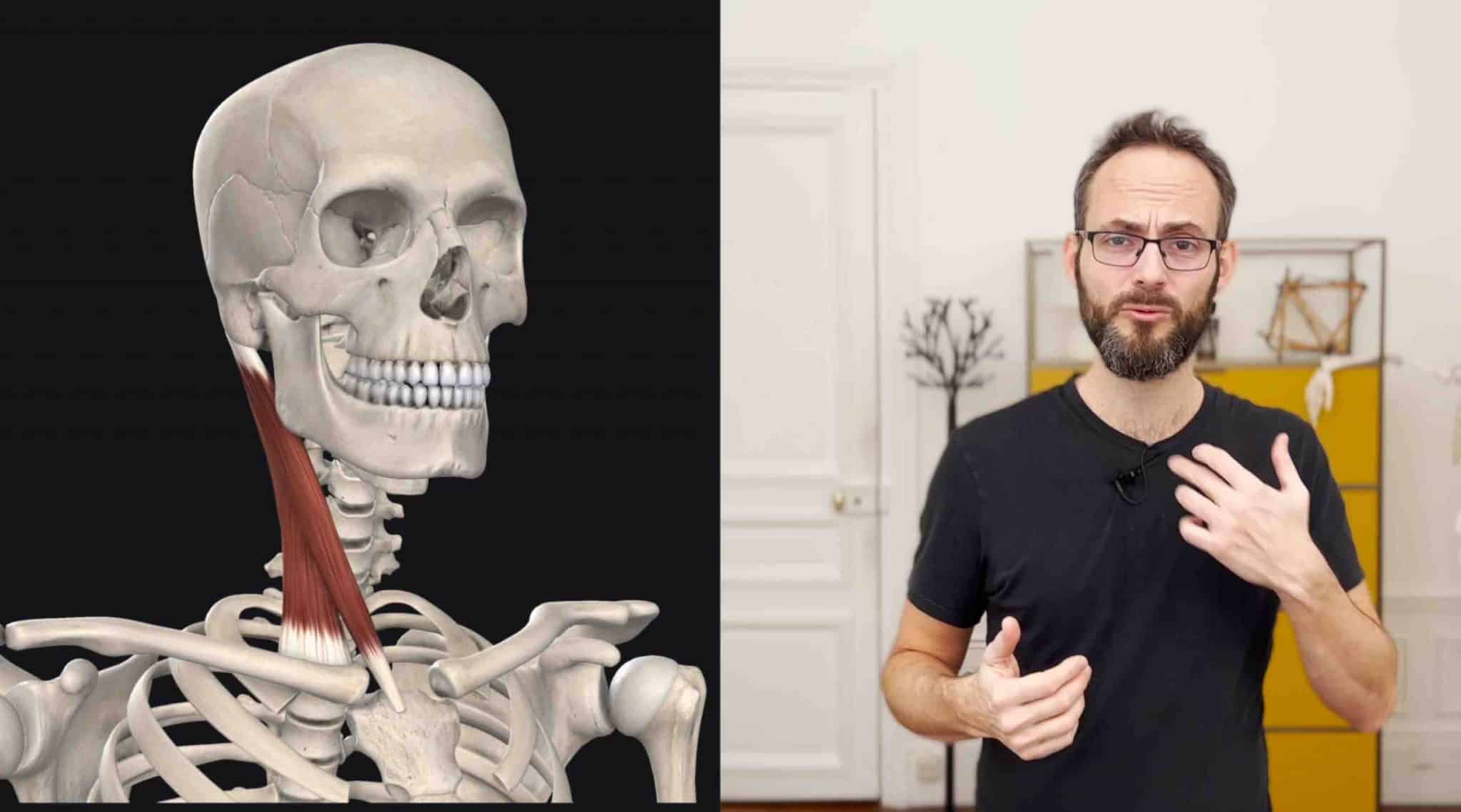 Comment étirer le cou ? 7 étirements de kiné à pratiquer à la maison ...